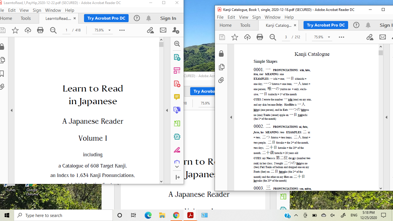 More Suggestions for Efficient Japanese Reading Practice - Japanese ...